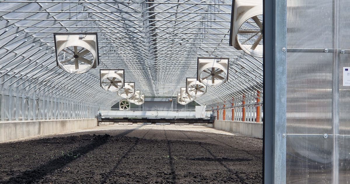 We are not only the DAF expert! – KWI International Group